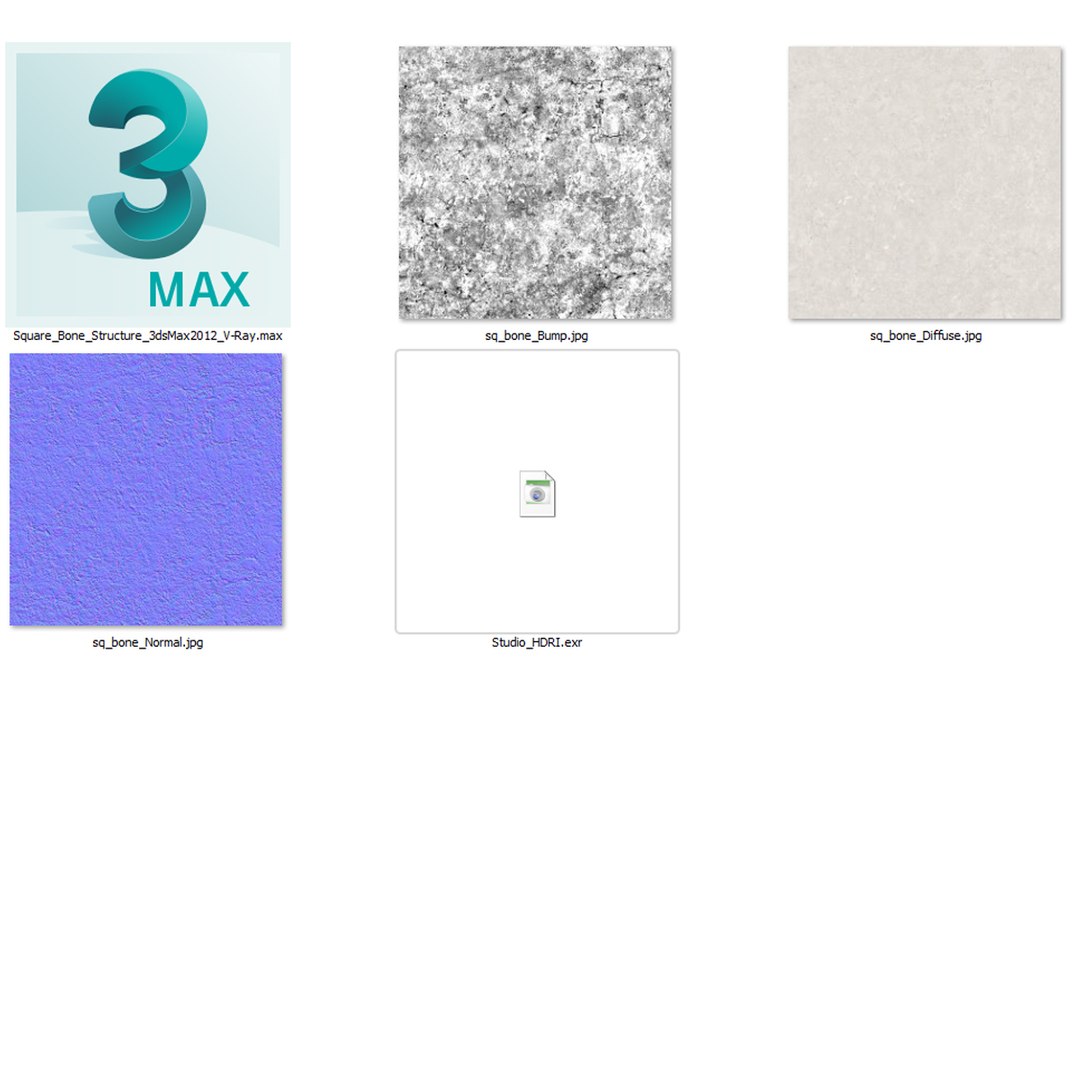 3D Square Bone Structure Model - TurboSquid 1298833