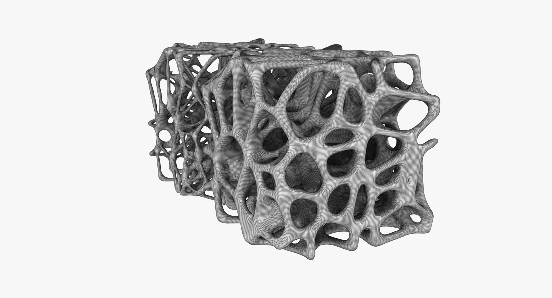 3D Square Bone Structure Model - TurboSquid 1298833