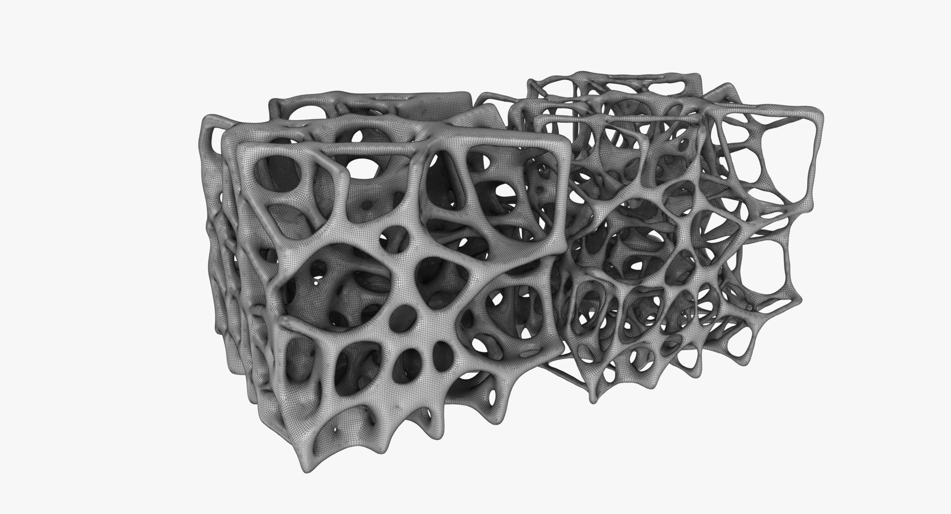 3D Square Bone Structure Model - TurboSquid 1298833