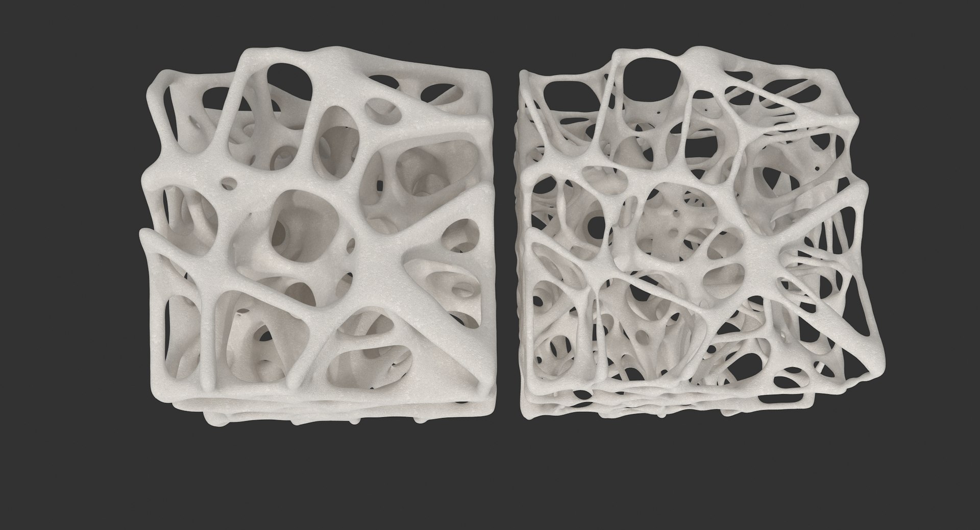 3D Square Bone Structure Model - TurboSquid 1298833