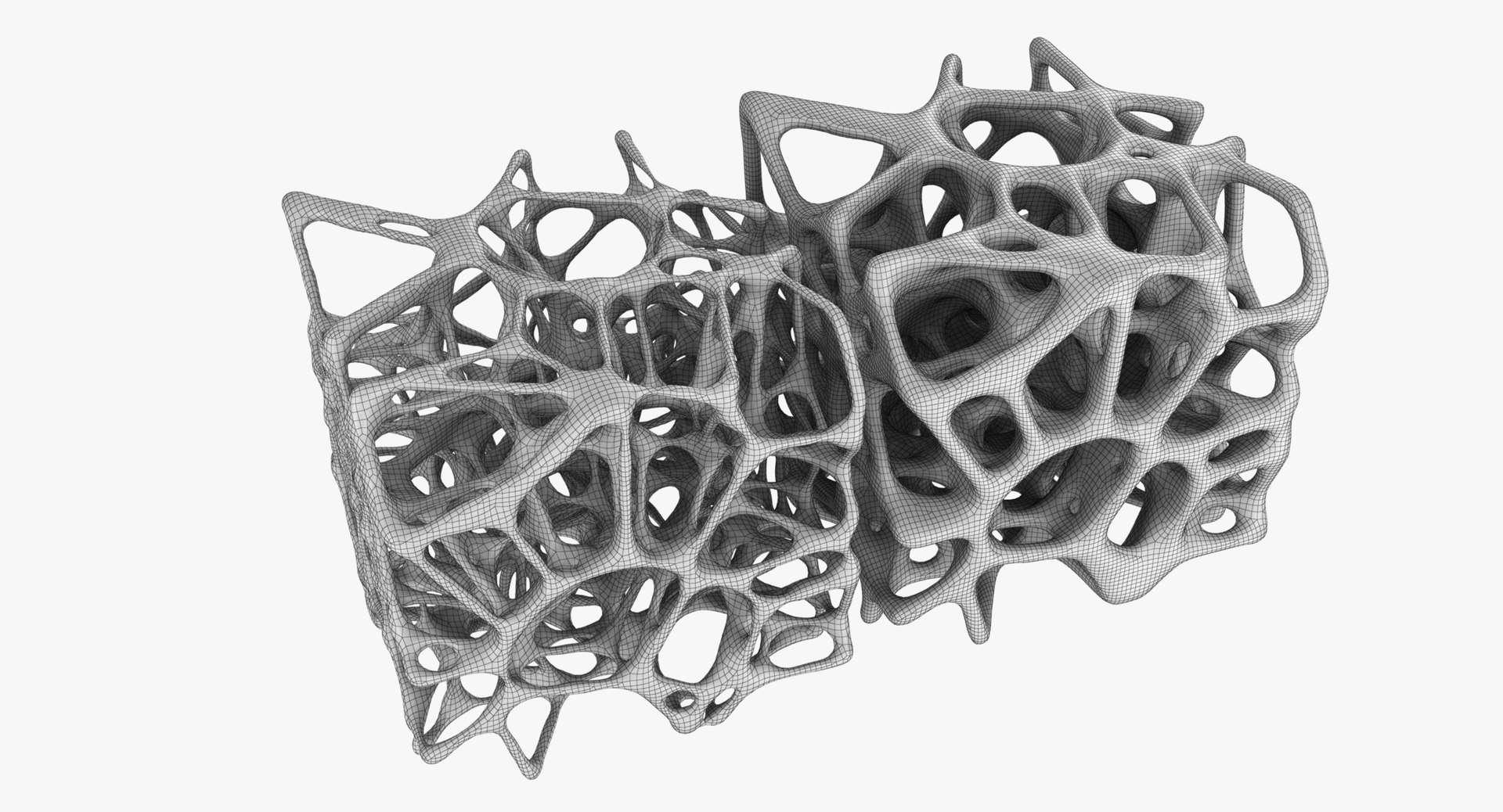 3D Square Bone Structure Model - TurboSquid 1298833