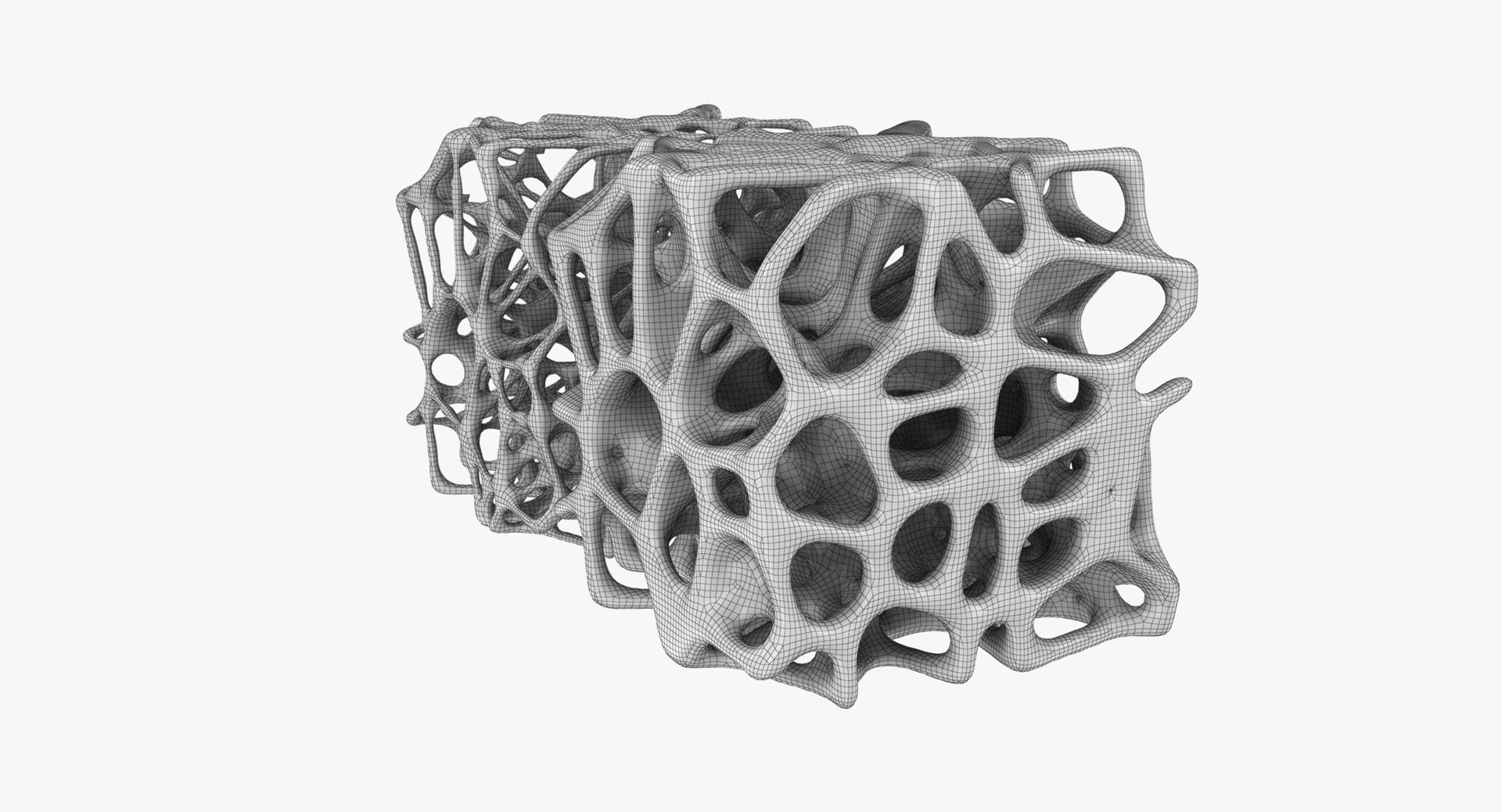 3D Square Bone Structure Model - TurboSquid 1298833