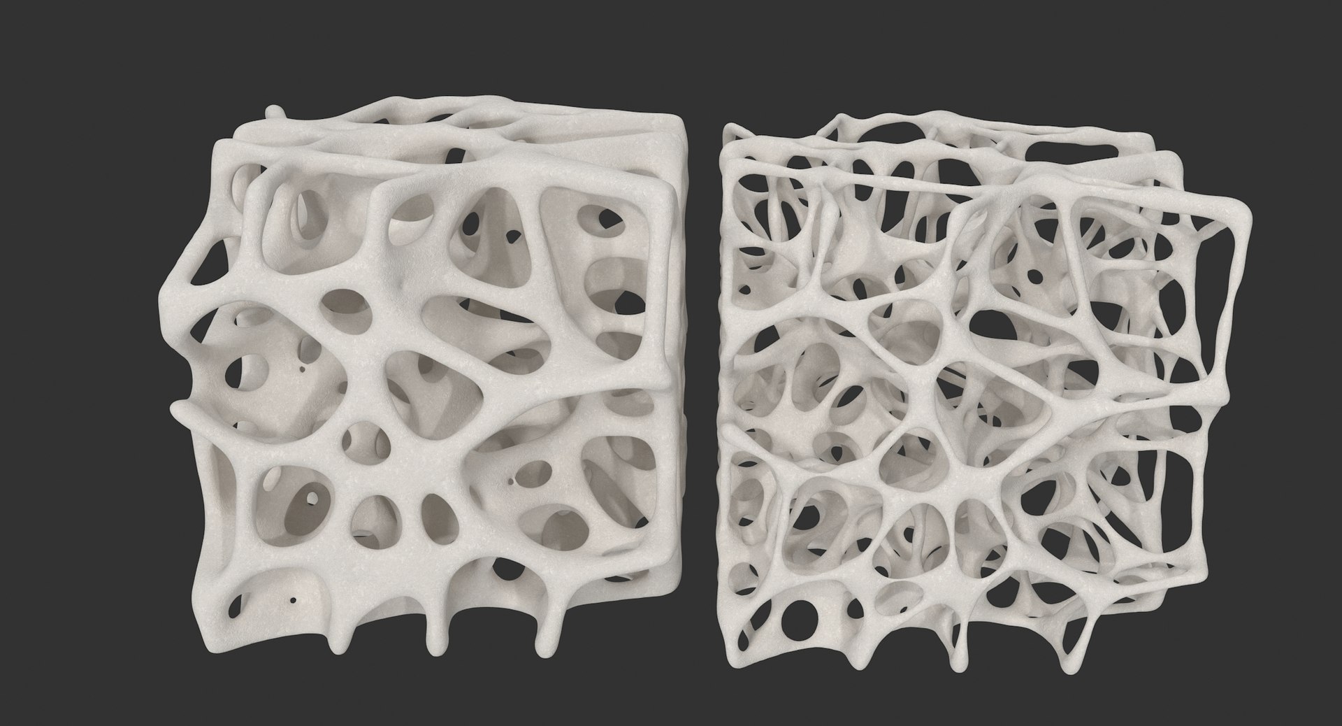 3D Square Bone Structure Model - TurboSquid 1298833