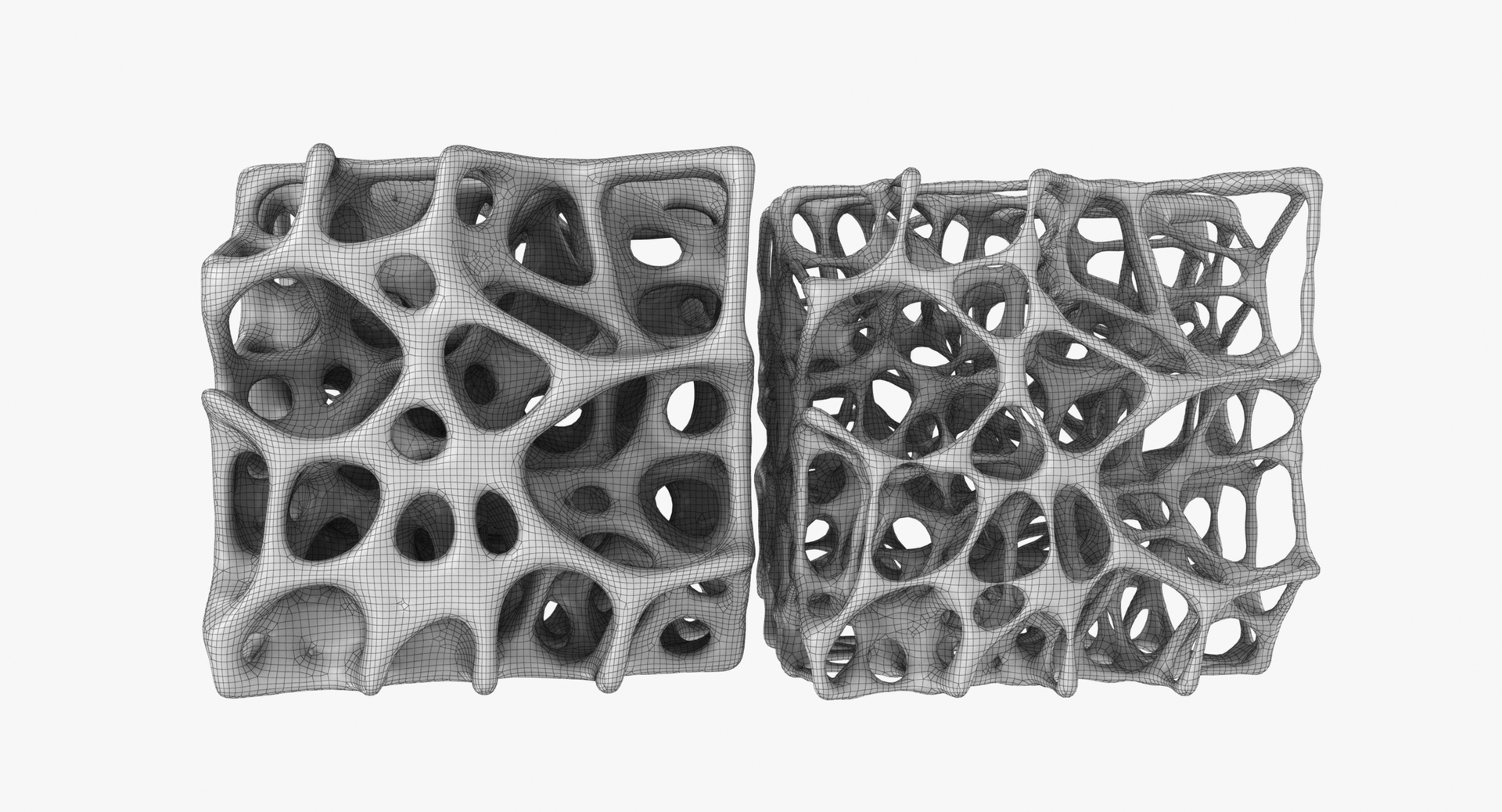 3D Square Bone Structure Model - TurboSquid 1298833
