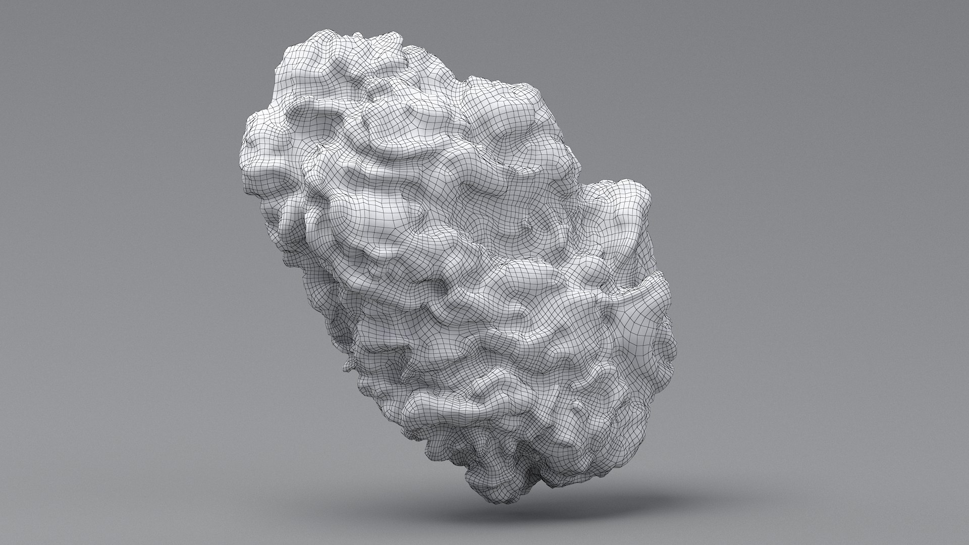 3D Realistic Chicken Fry 3 - TurboSquid 1771758