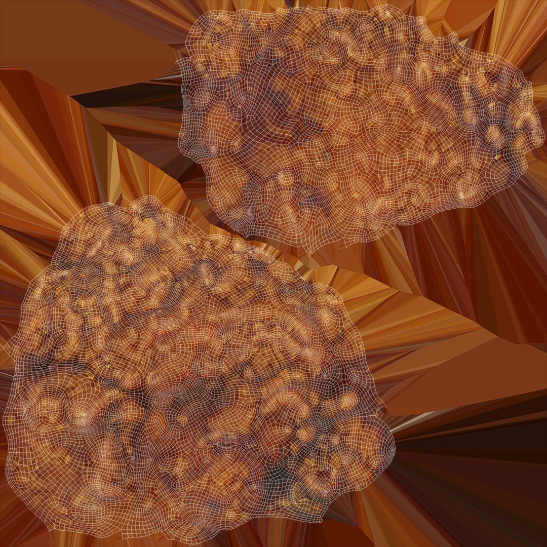 3D Realistic Chicken Fry 3 - TurboSquid 1771758