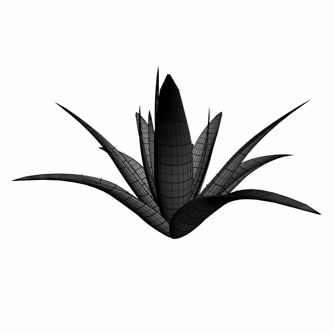 3d Model Aloe Vera