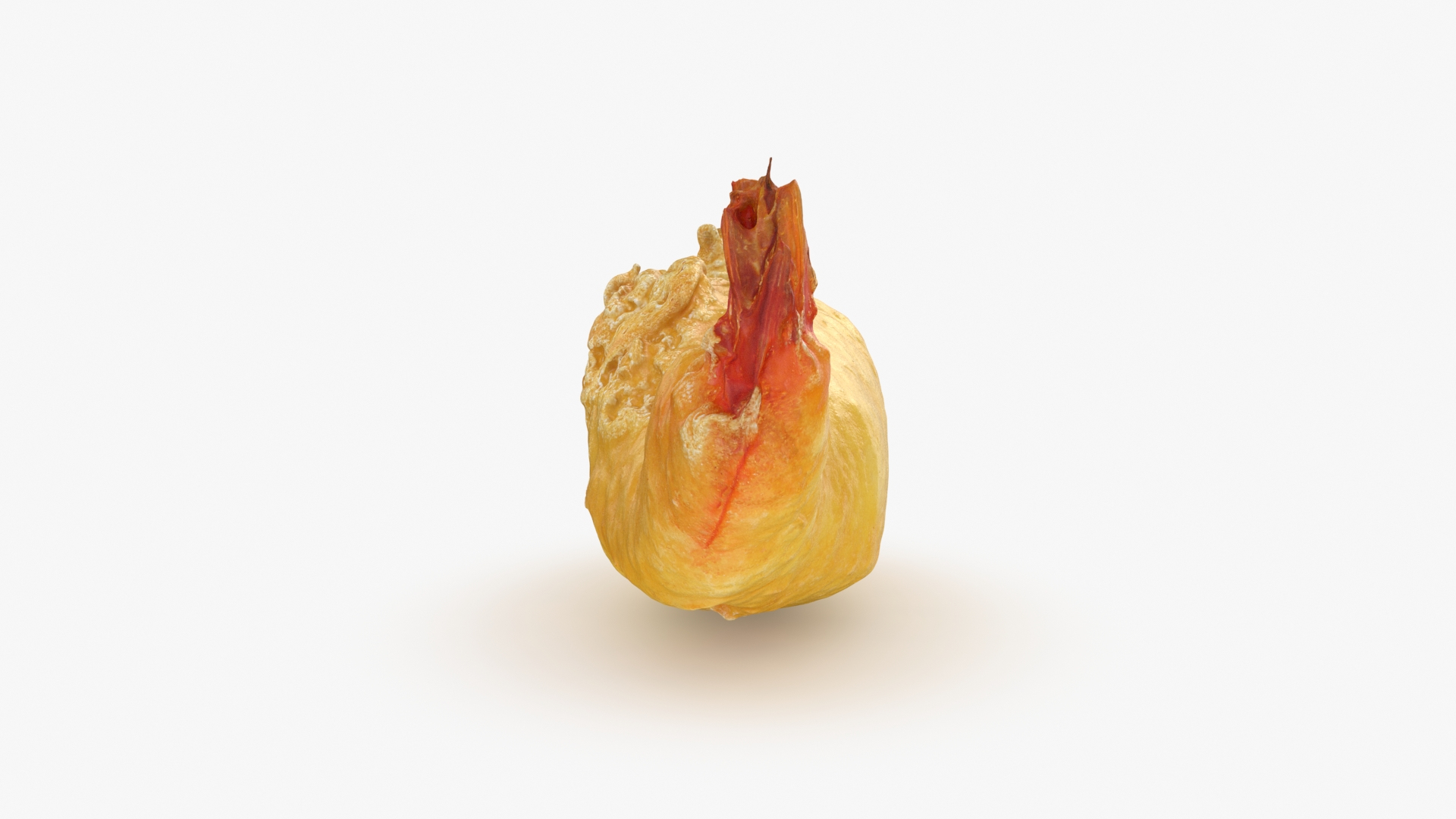 3D Model Prawn Fritters 01 - TurboSquid 2168632