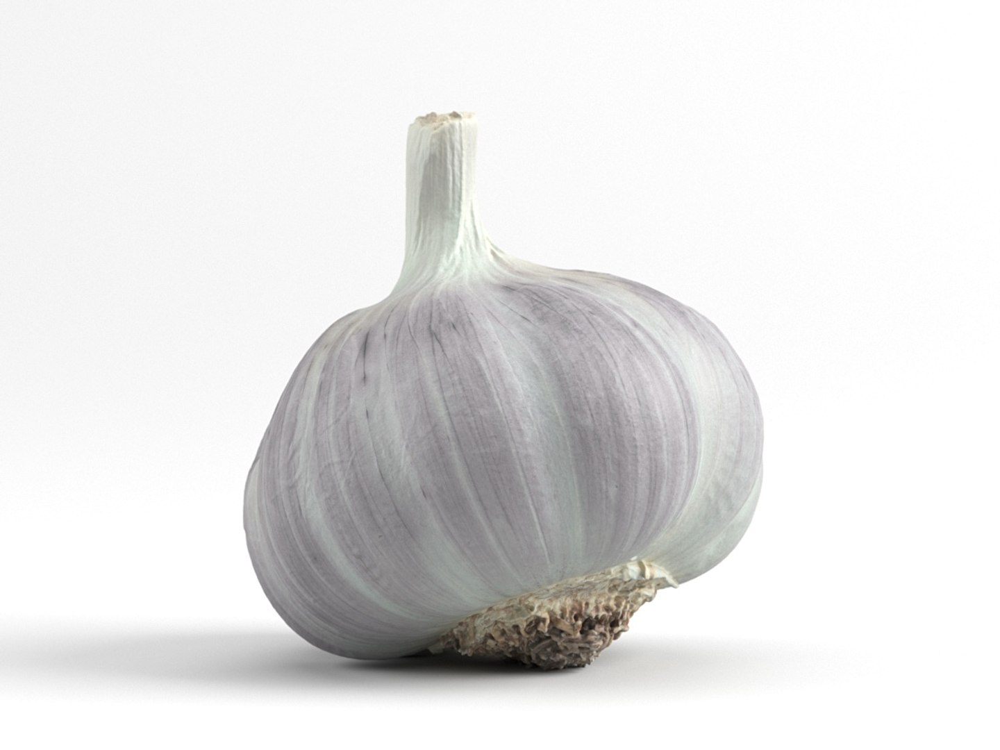 3D Photorealistic Scanned Garlic Model - TurboSquid 1285645