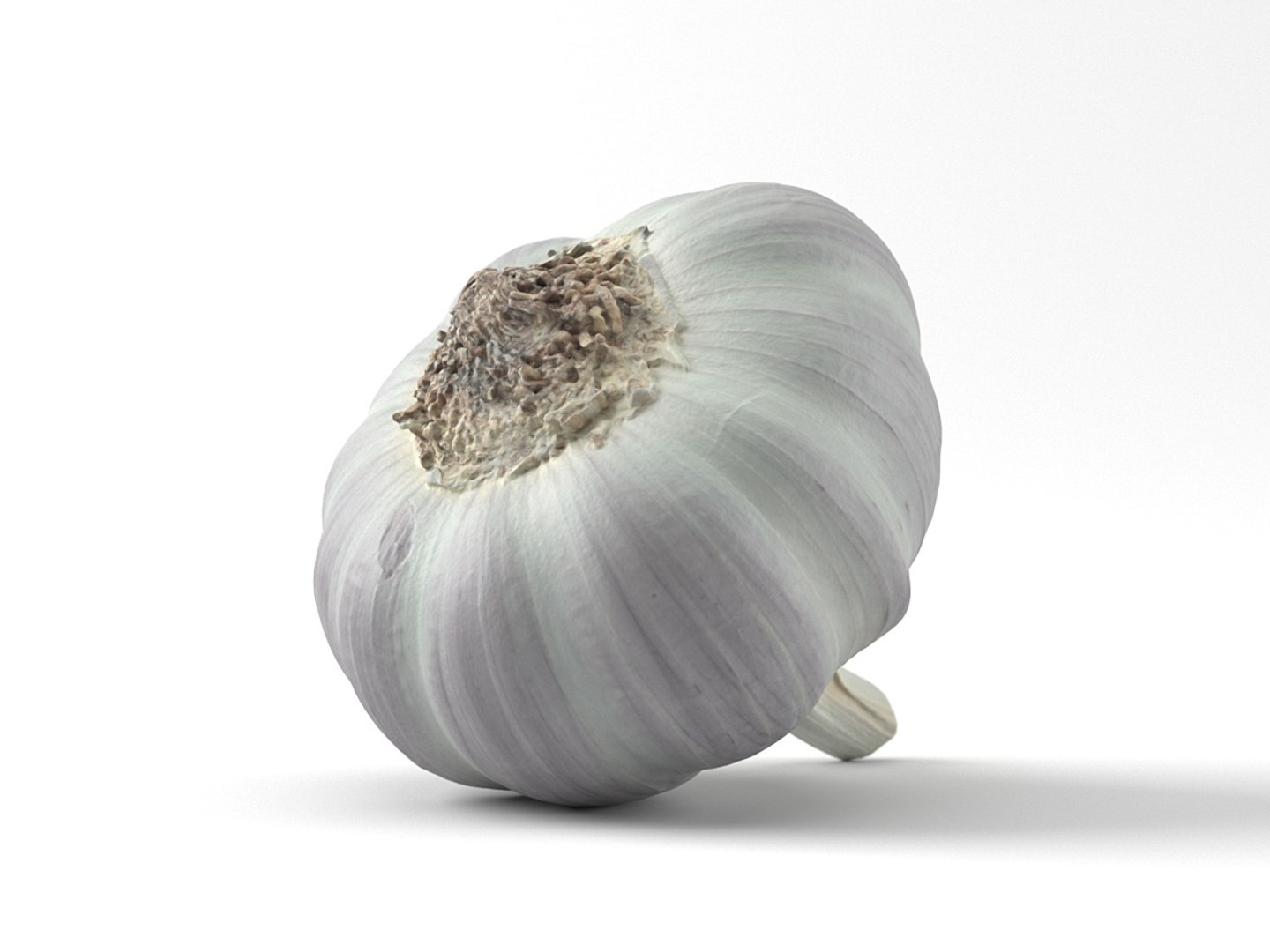 3D Photorealistic Scanned Garlic Model - TurboSquid 1285645