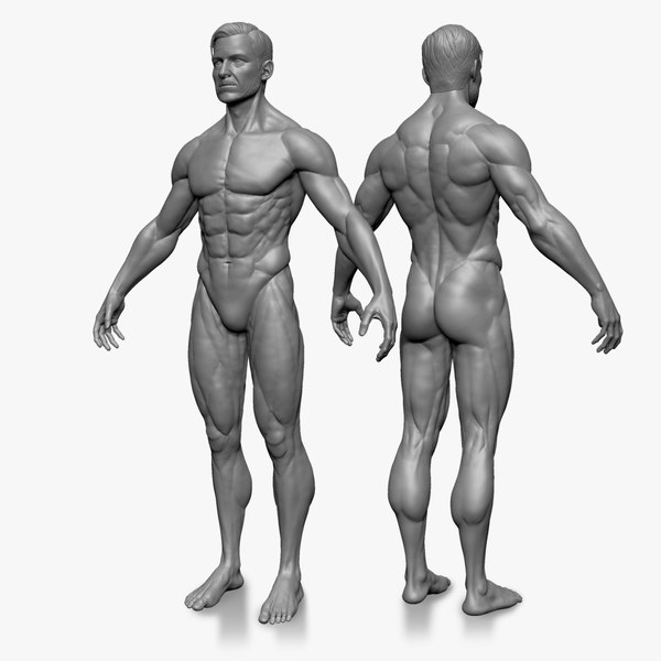 Body Human3Dモデル - TurboSquid 2063381