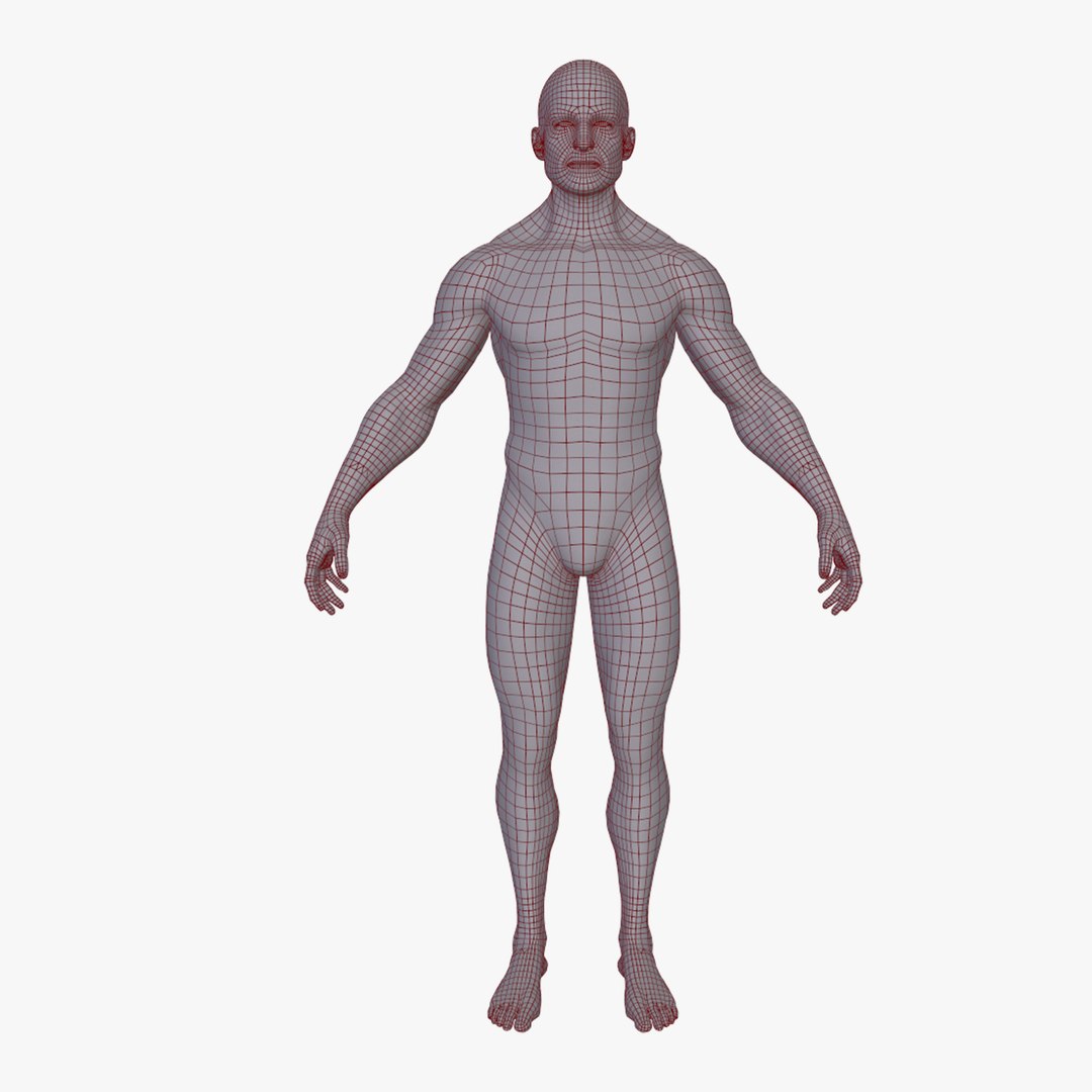 3D model Body Human - TurboSquid 2063381