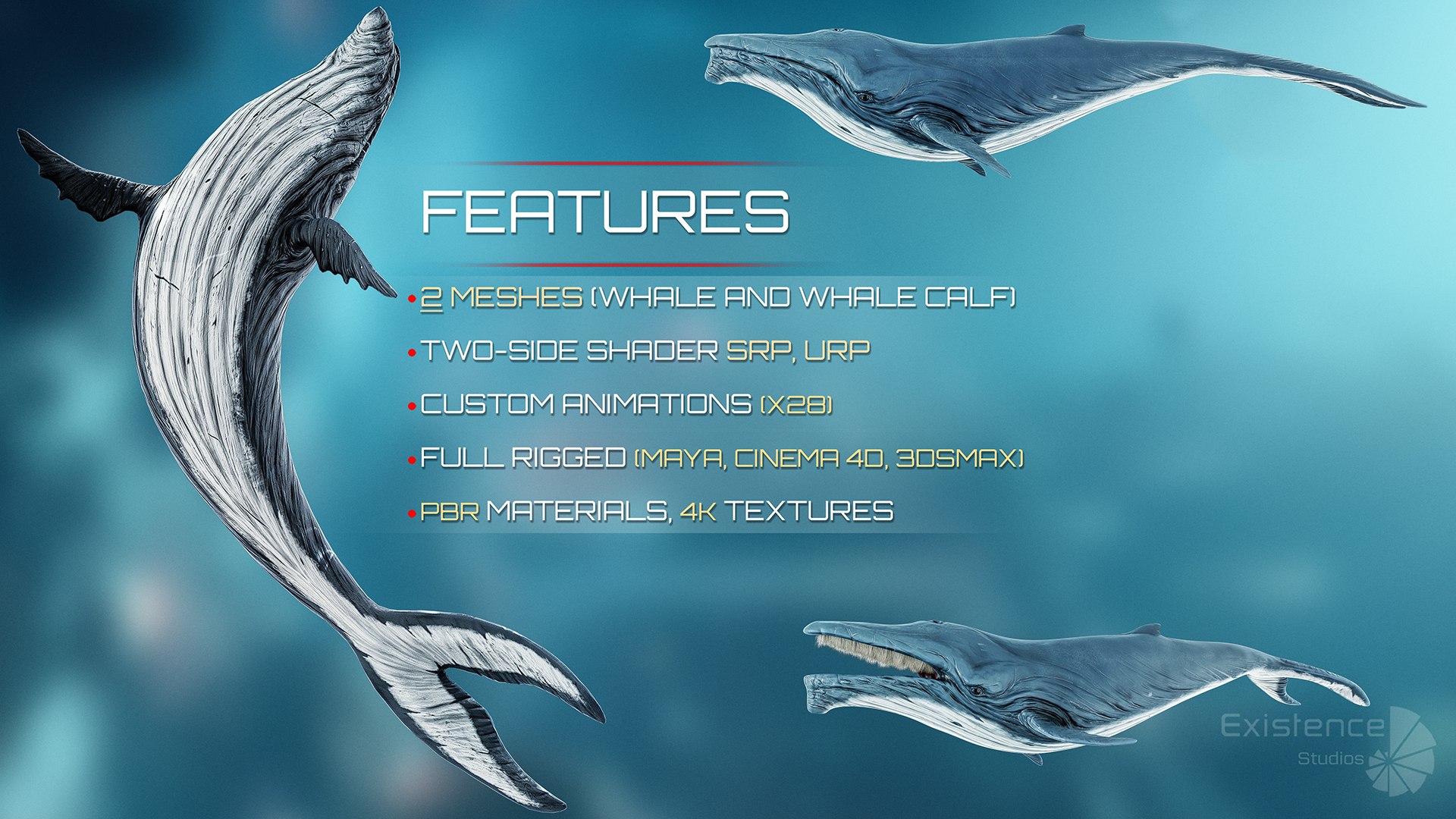 3D Model Whale And Whale Calf - Underwater Creature Animated Monster - 23 - TurboSquid 2168383
