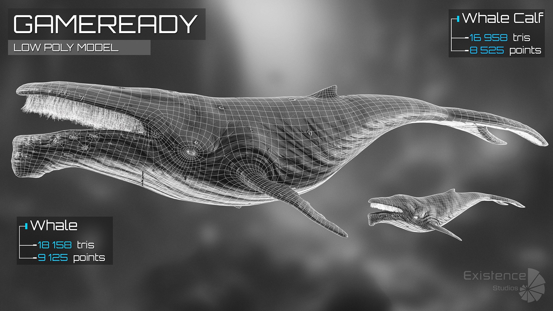3D Model Whale And Whale Calf - Underwater Creature Animated Monster ...
