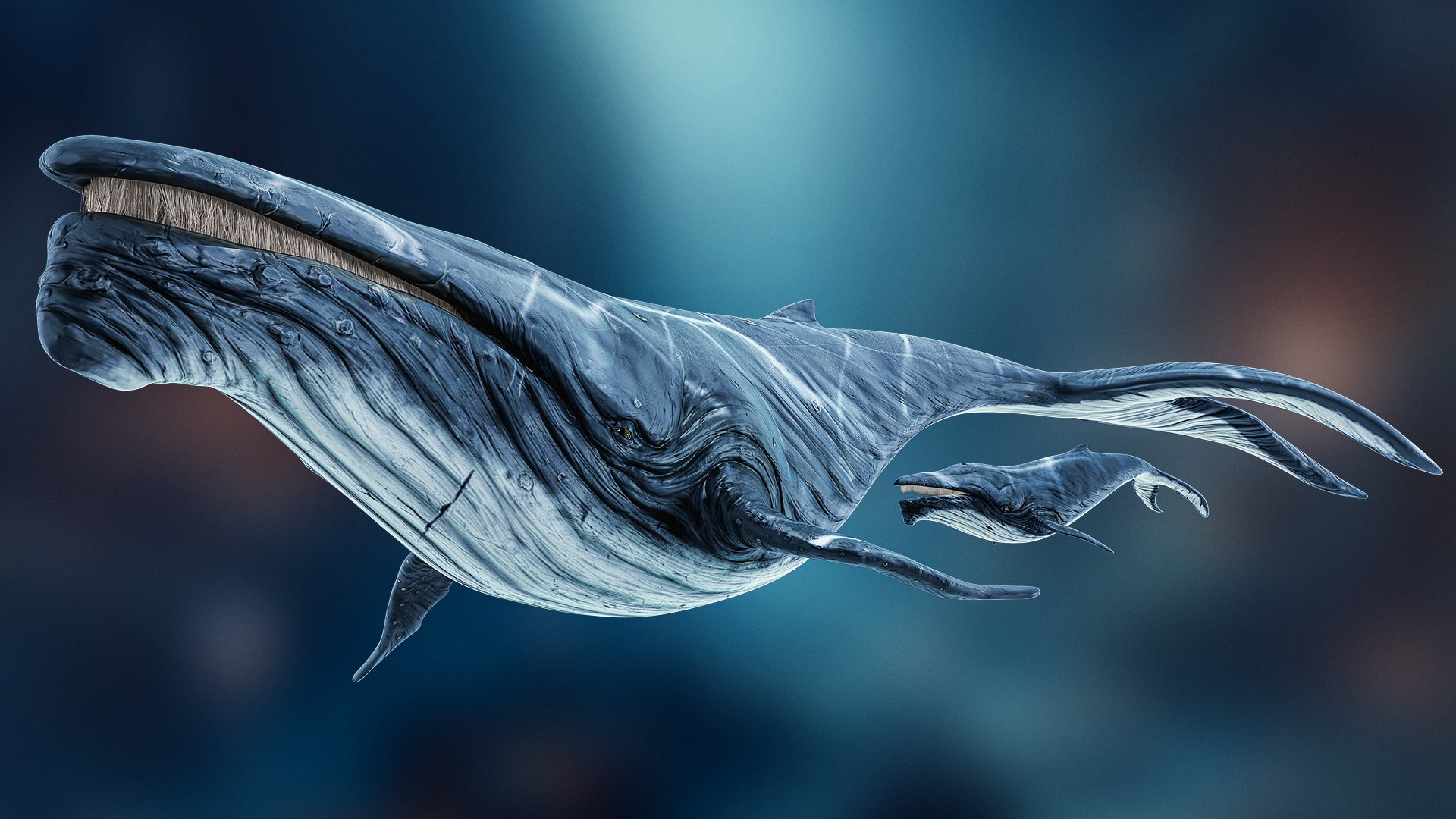 modelo 3d Ballena y cría de ballena - Monstruo animado de criatura ...