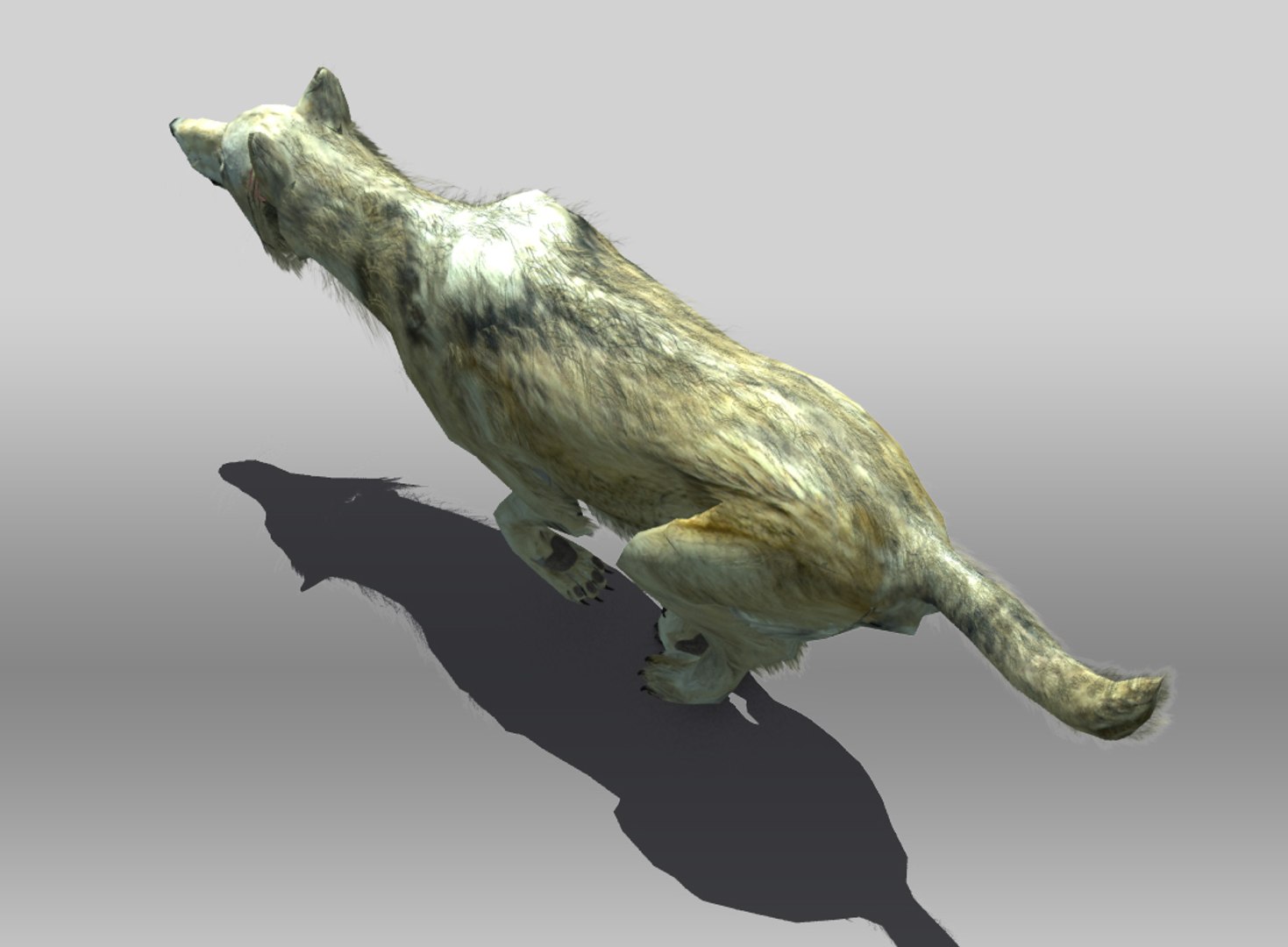 Timber Wolf 3d Model