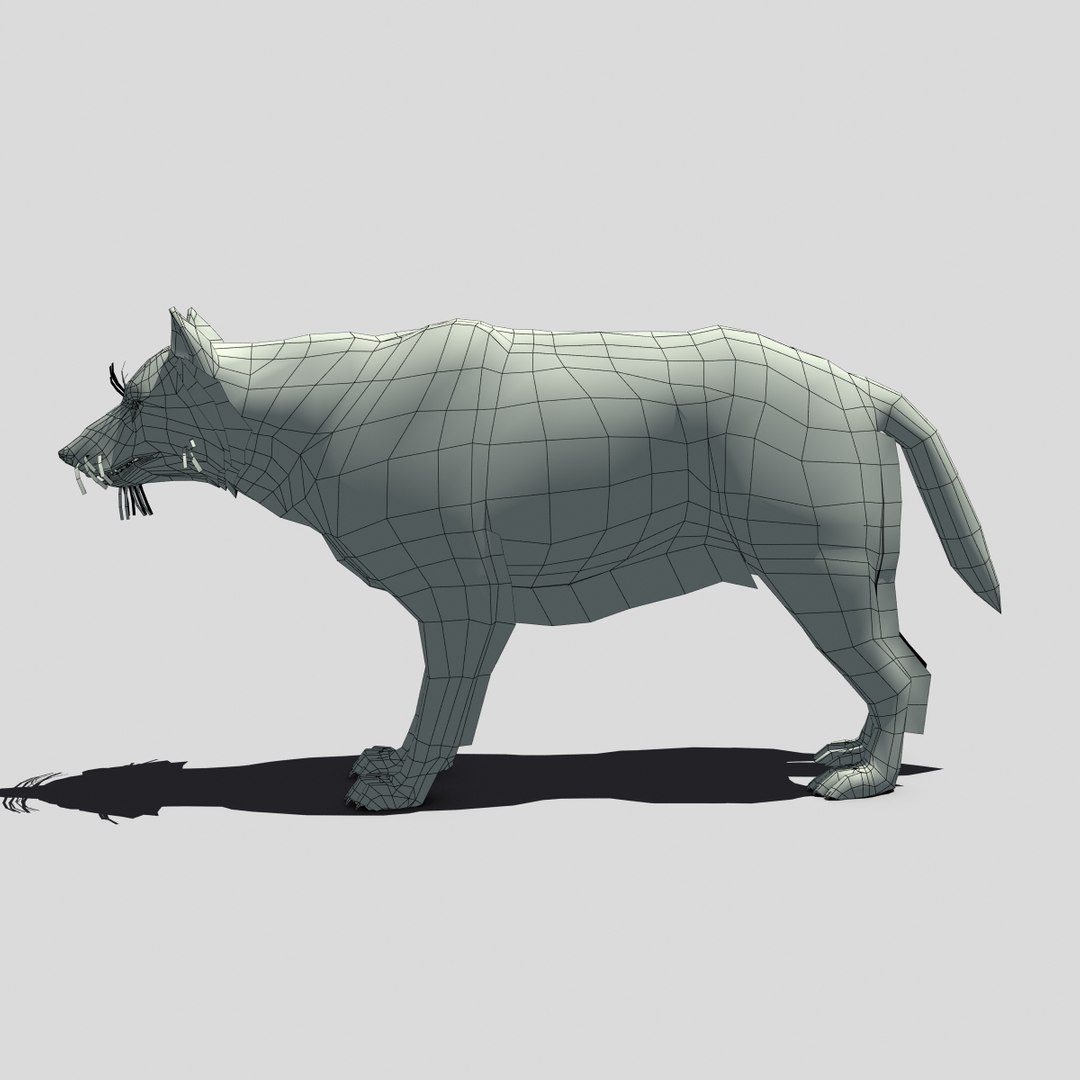Timber Wolf 3d Model