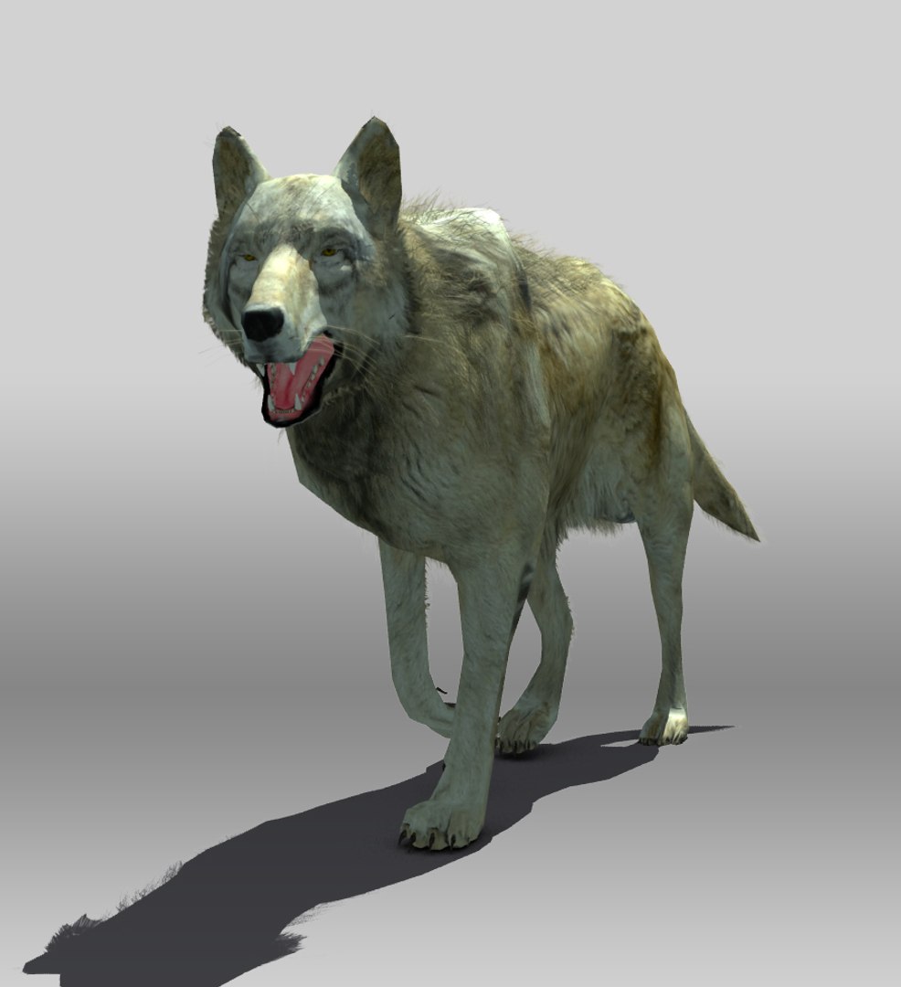 Timber Wolf 3d Model