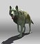 Timber Wolf 3d Model