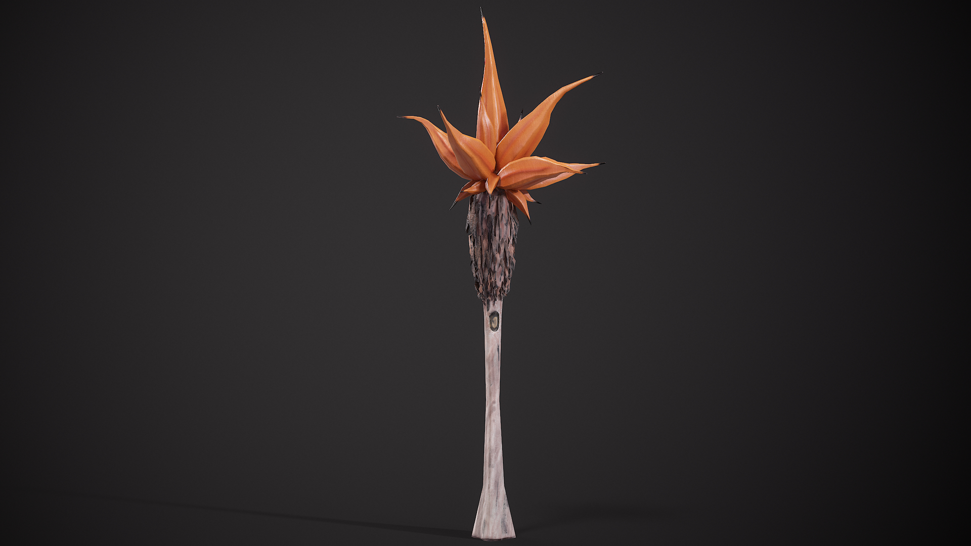 Alien palm vegetation 3D - TurboSquid 1688710