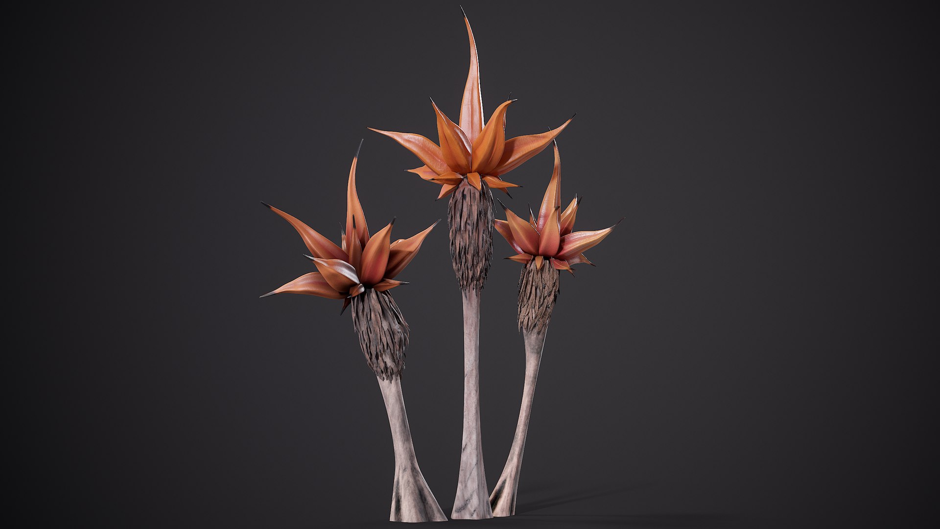 Alien palm vegetation 3D - TurboSquid 1688710