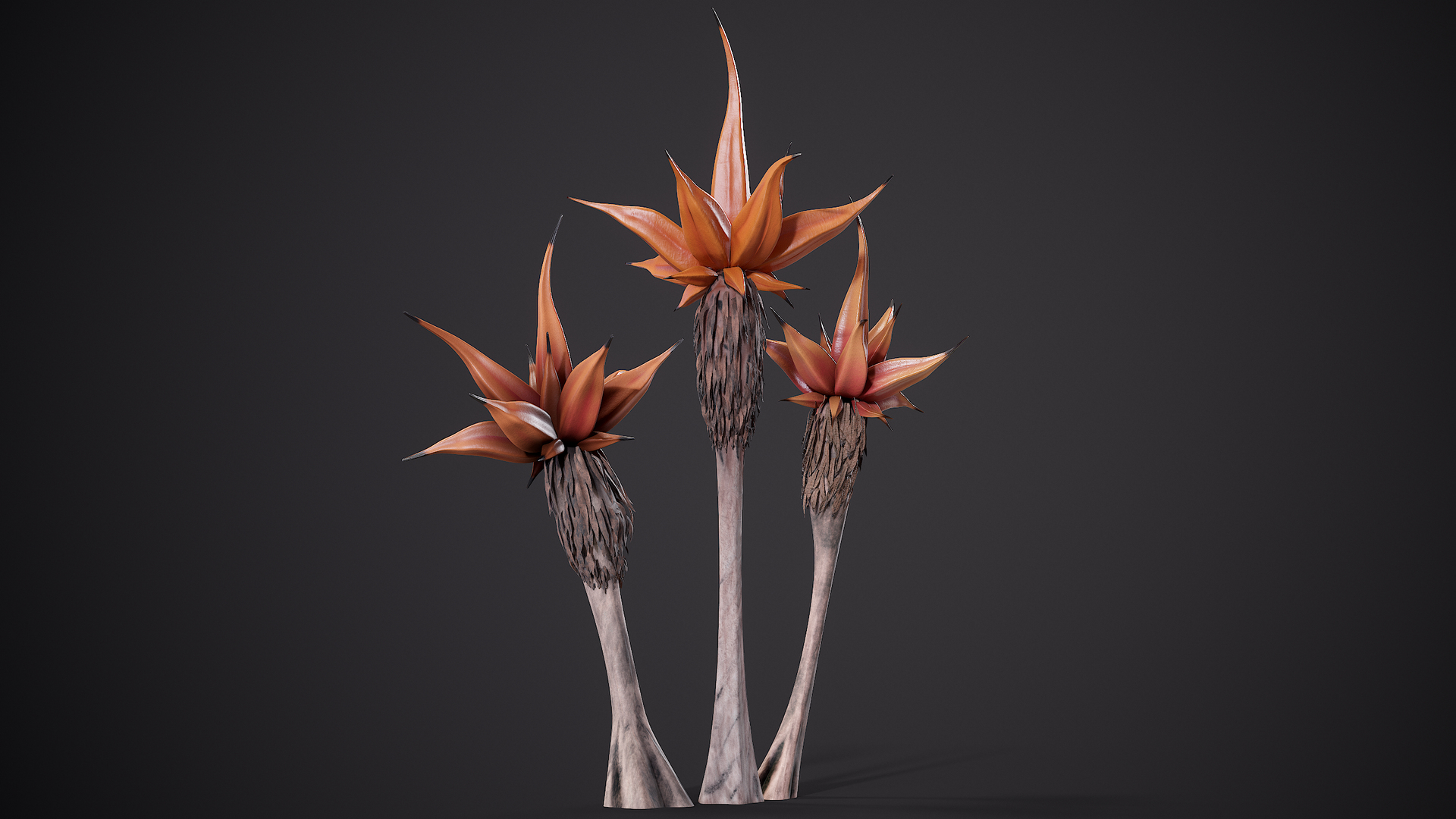 Alien palm vegetation 3D - TurboSquid 1688710