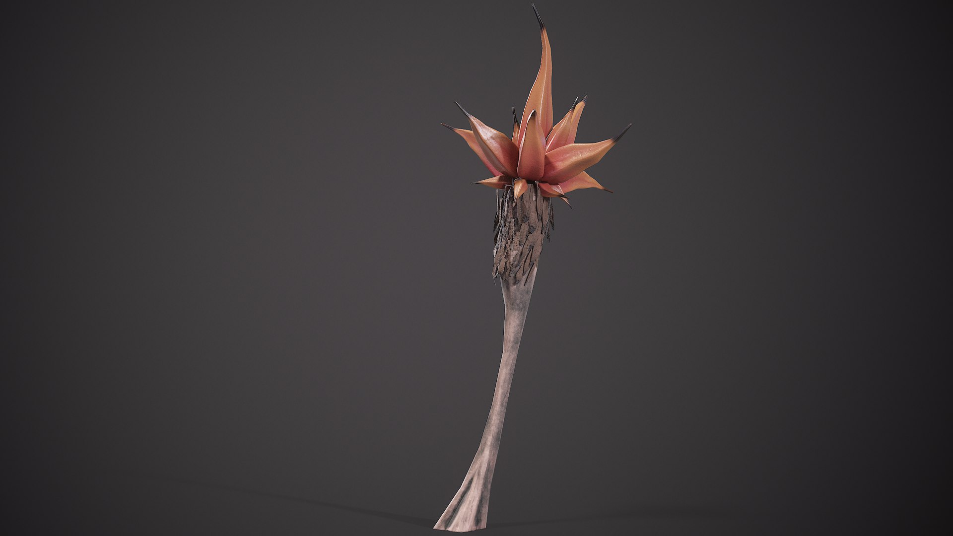 Alien palm vegetation 3D - TurboSquid 1688710