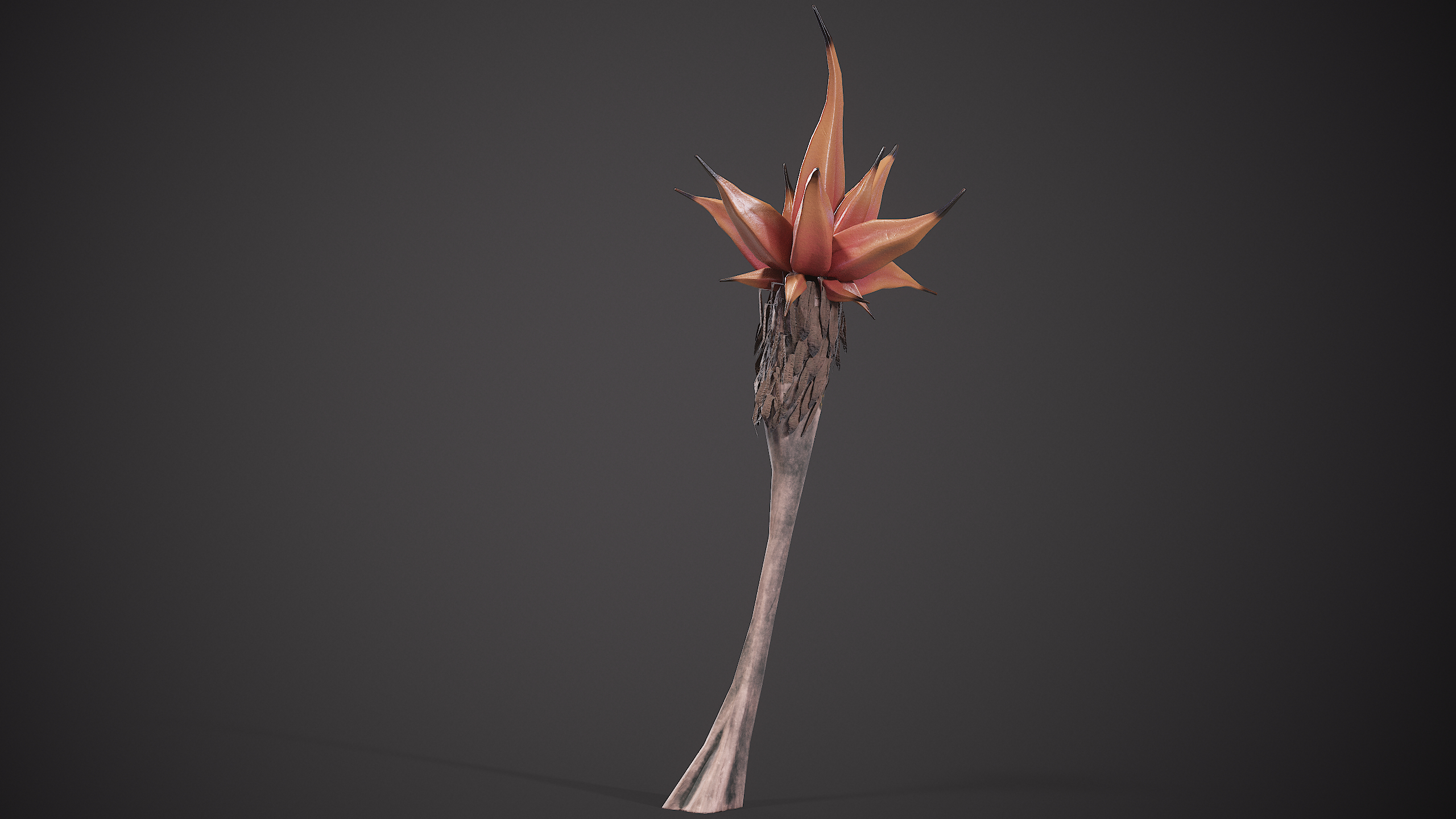 Alien palm vegetation 3D - TurboSquid 1688710