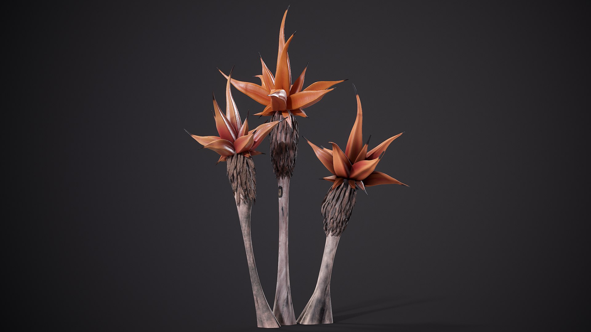 Alien palm vegetation 3D - TurboSquid 1688710