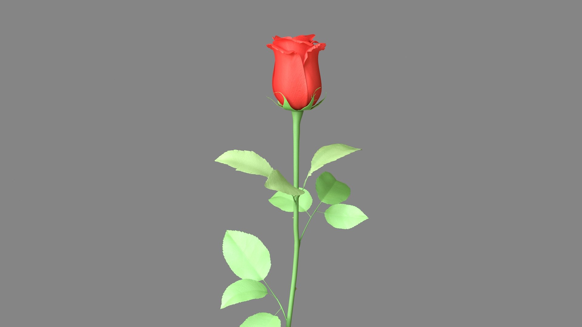 Red Rose 3D Model Model - TurboSquid 1829639