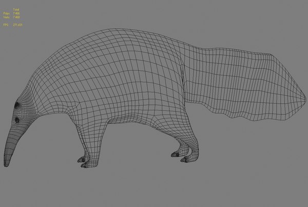 giant anteater max