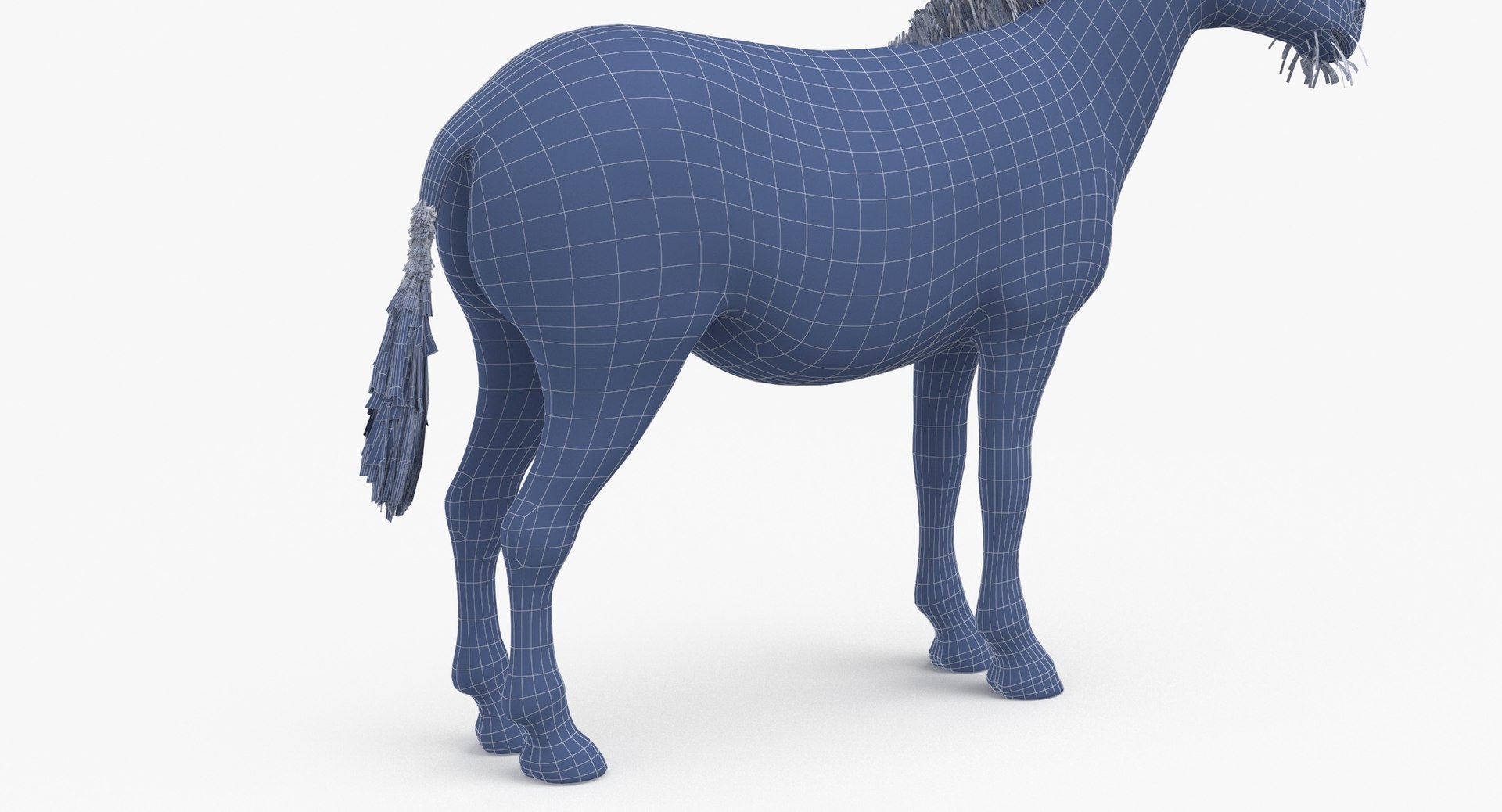 3D Model Zebra - TurboSquid 2069295