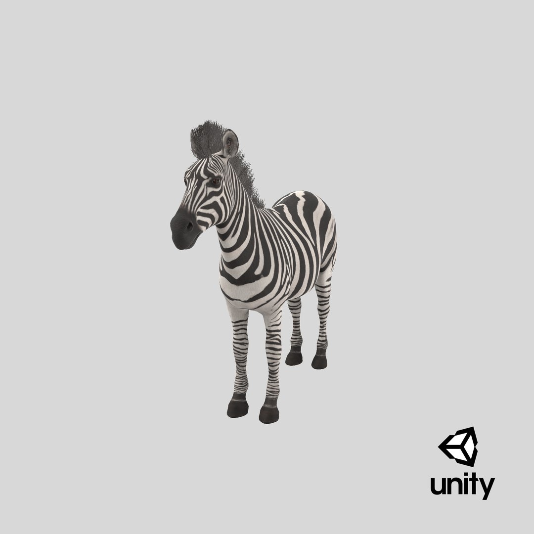 3D model Zebra - TurboSquid 2069295