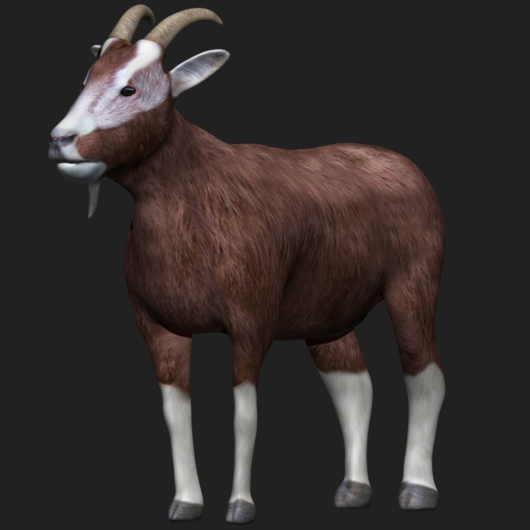 3D Model Fully Rigged Goat - TurboSquid 1697428