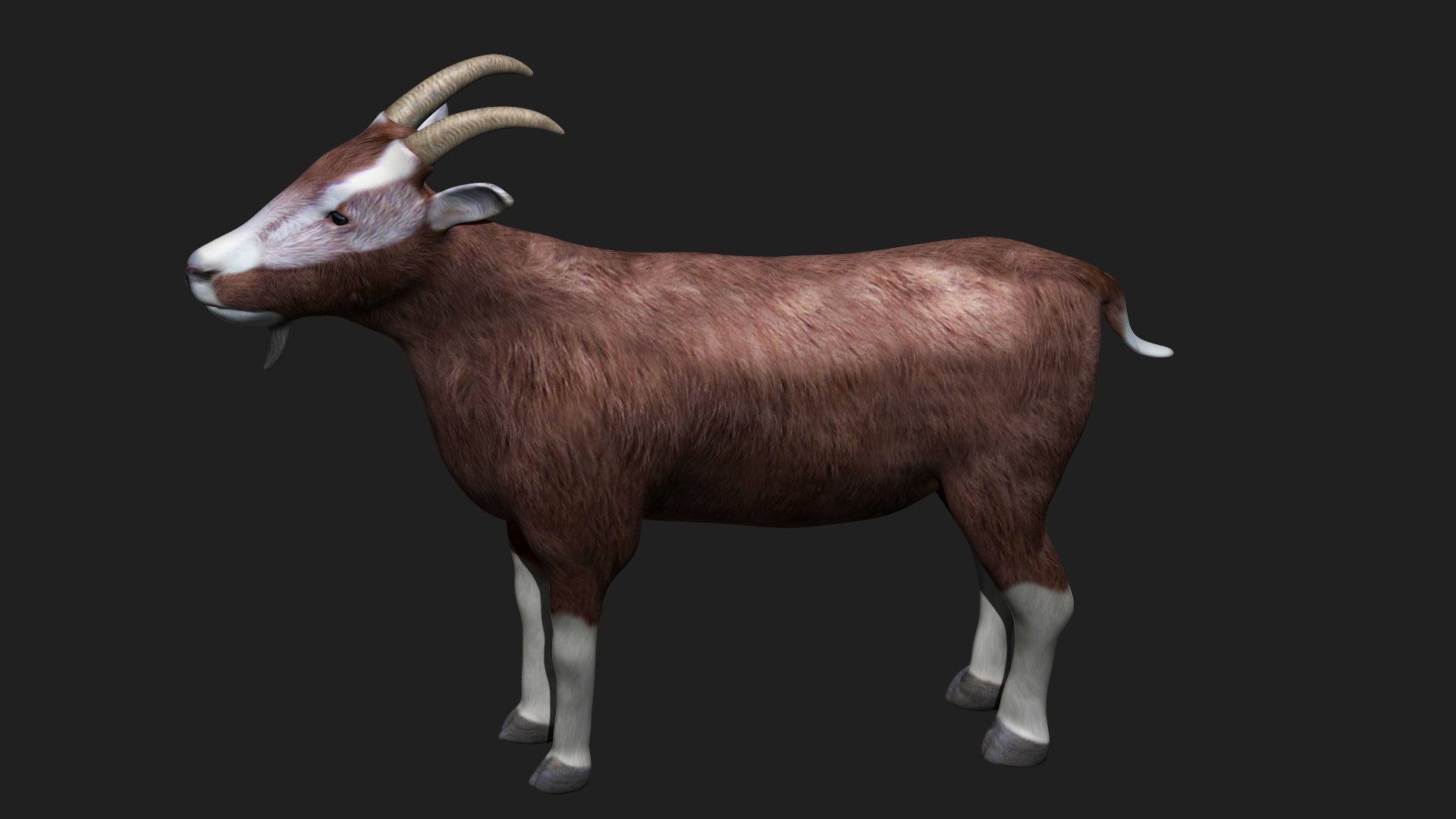 3D Model Fully Rigged Goat - TurboSquid 1697428