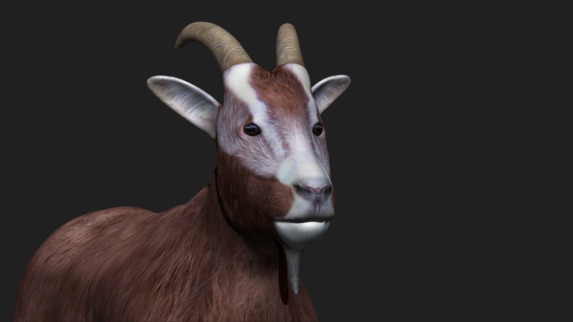 3D Model Fully Rigged Goat - TurboSquid 1697428