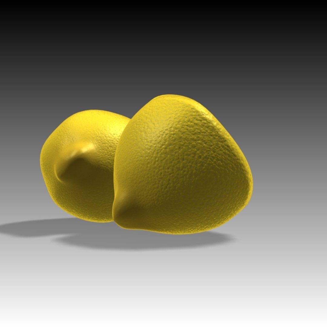Lemon 3d Model