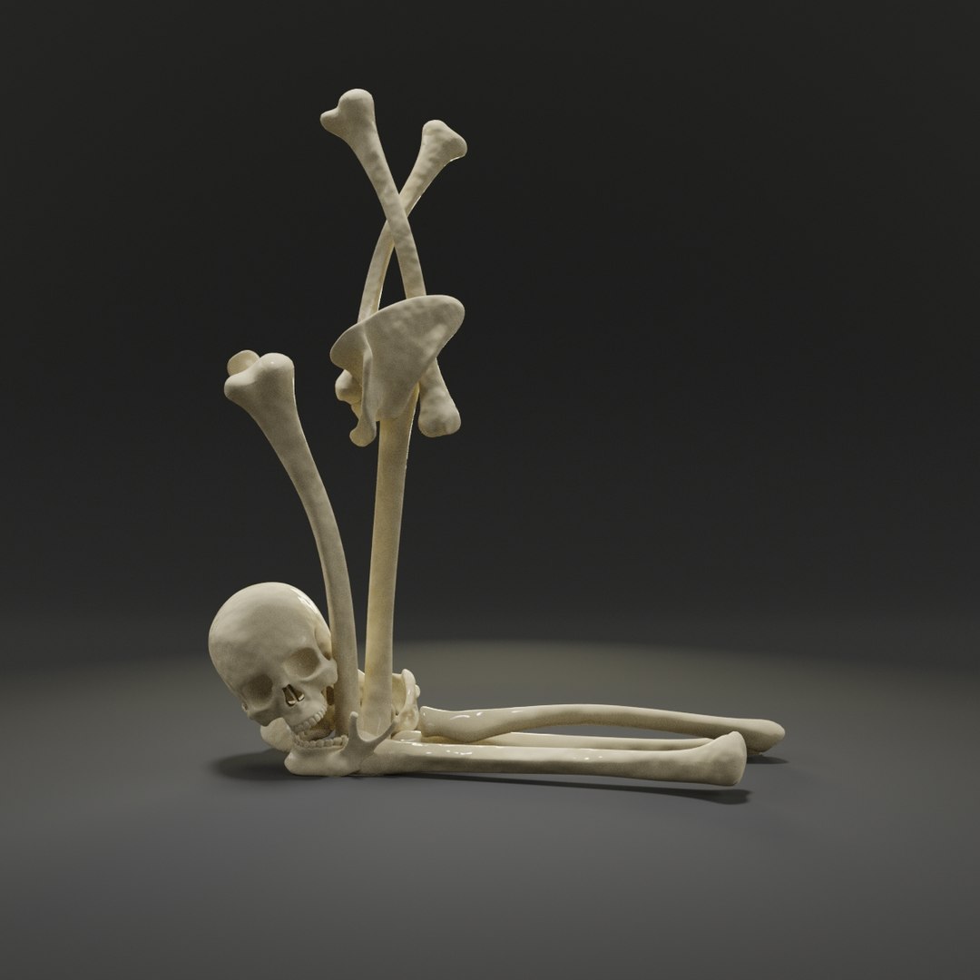 Letter L Bones Skeleton 3D Model - TurboSquid 1547481