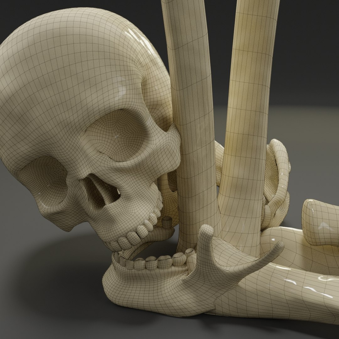 Letter L Bones Skeleton 3D Model - TurboSquid 1547481