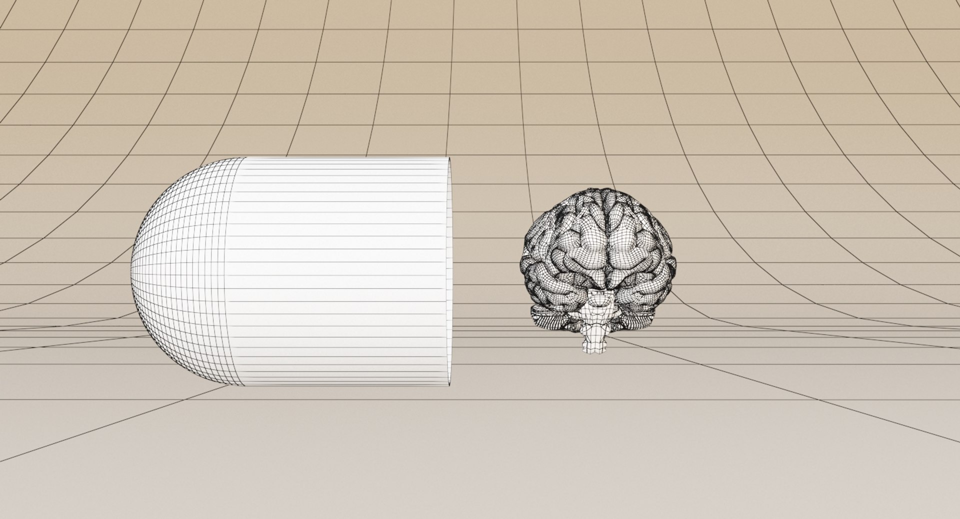 Brain Capsule 3D Model - TurboSquid 1425579