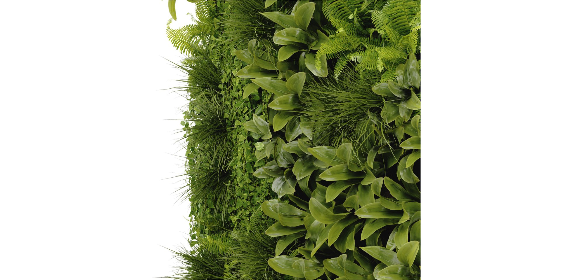 3D Model Collection Plant Vol 392 - Blender Model - TurboSquid 2095098