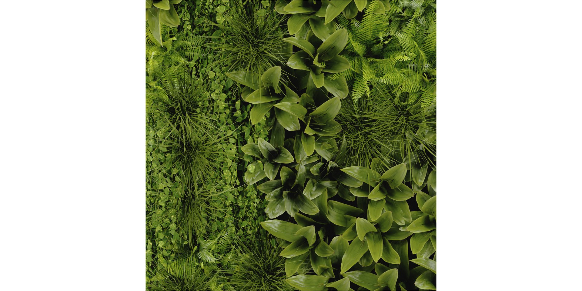 3D Model Collection Plant Vol 392 - Blender Model - TurboSquid 2095098