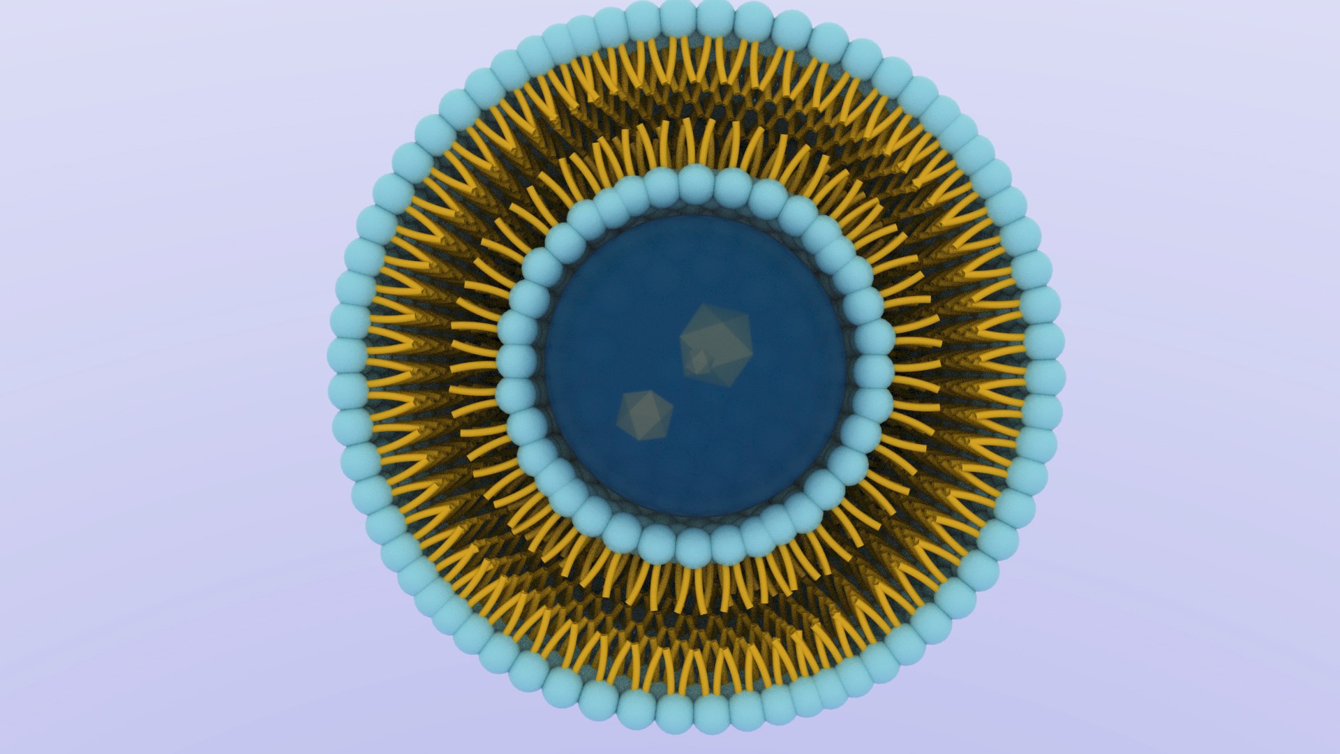 Liposome Nanoparticle 3D Model - TurboSquid 1416165