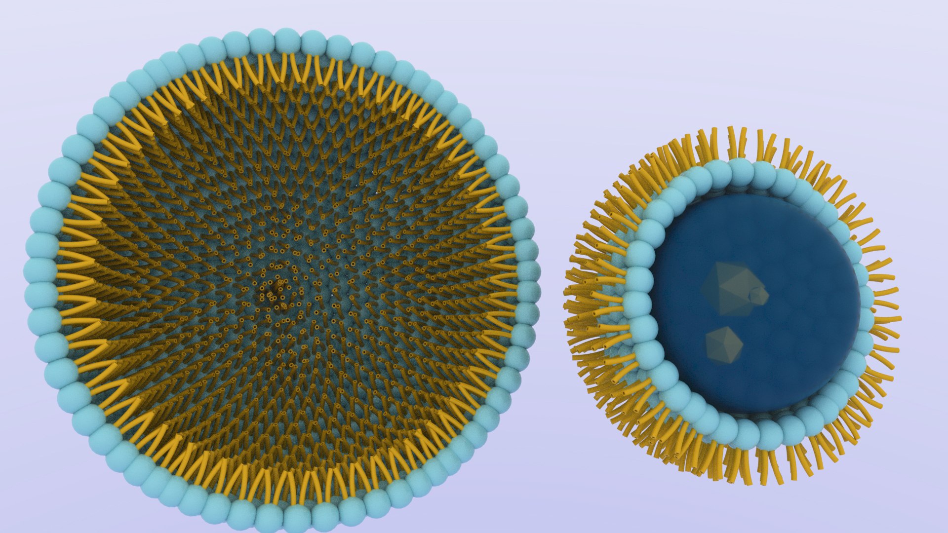 Liposome Nanoparticle 3D Model - TurboSquid 1416165