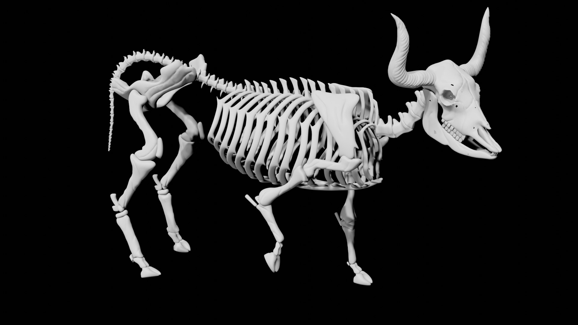 3D Rigged Bull Skeleton - TurboSquid 1840518