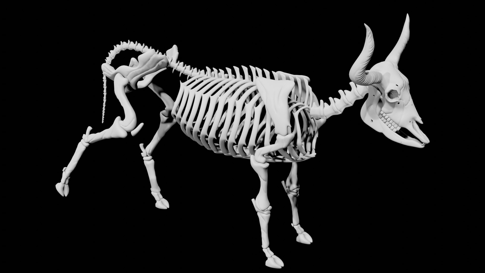 3D Rigged Bull Skeleton - TurboSquid 1840518