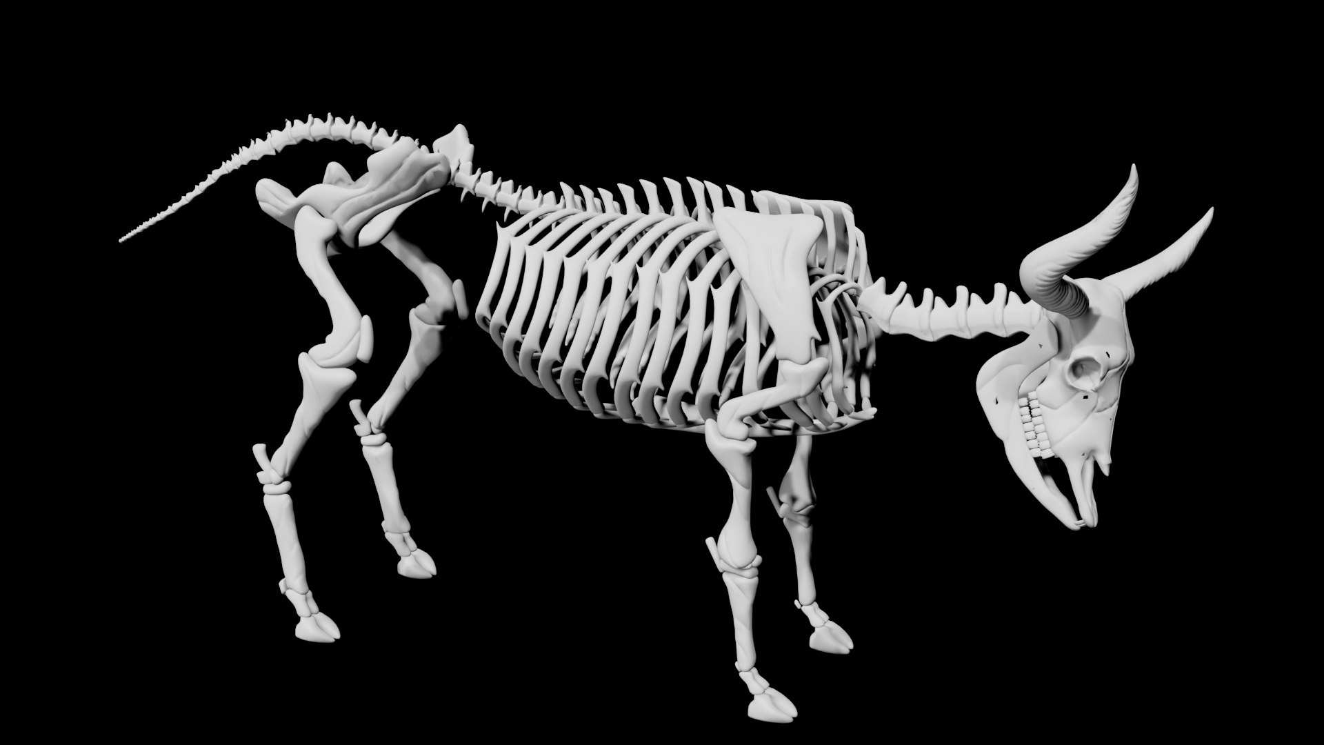 3D Rigged Bull Skeleton - TurboSquid 1840518