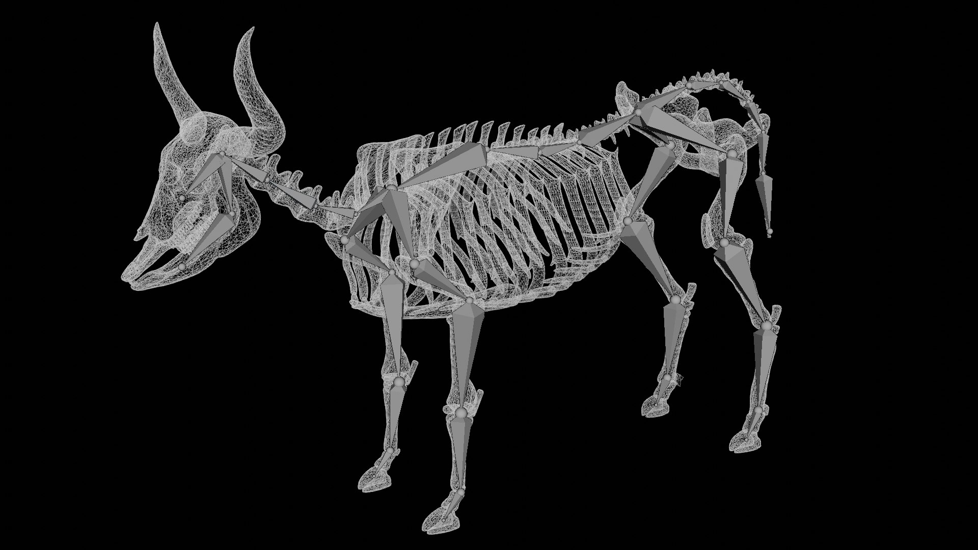 3D Rigged Bull Skeleton - TurboSquid 1840518