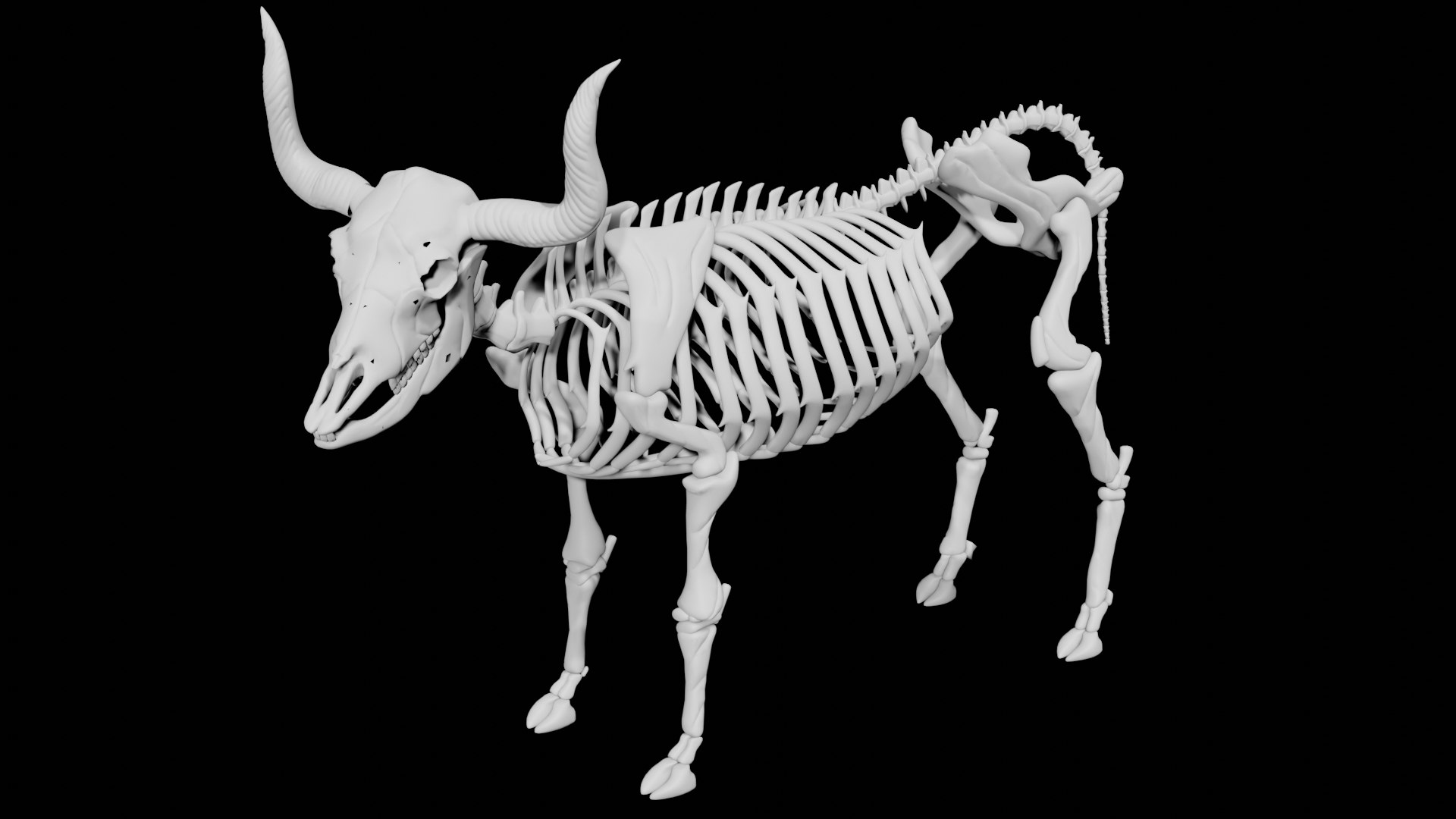 3D Rigged Bull Skeleton - TurboSquid 1840518