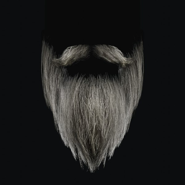 Beard RealTime 2 Version 13D模型 - TurboSquid 1879681